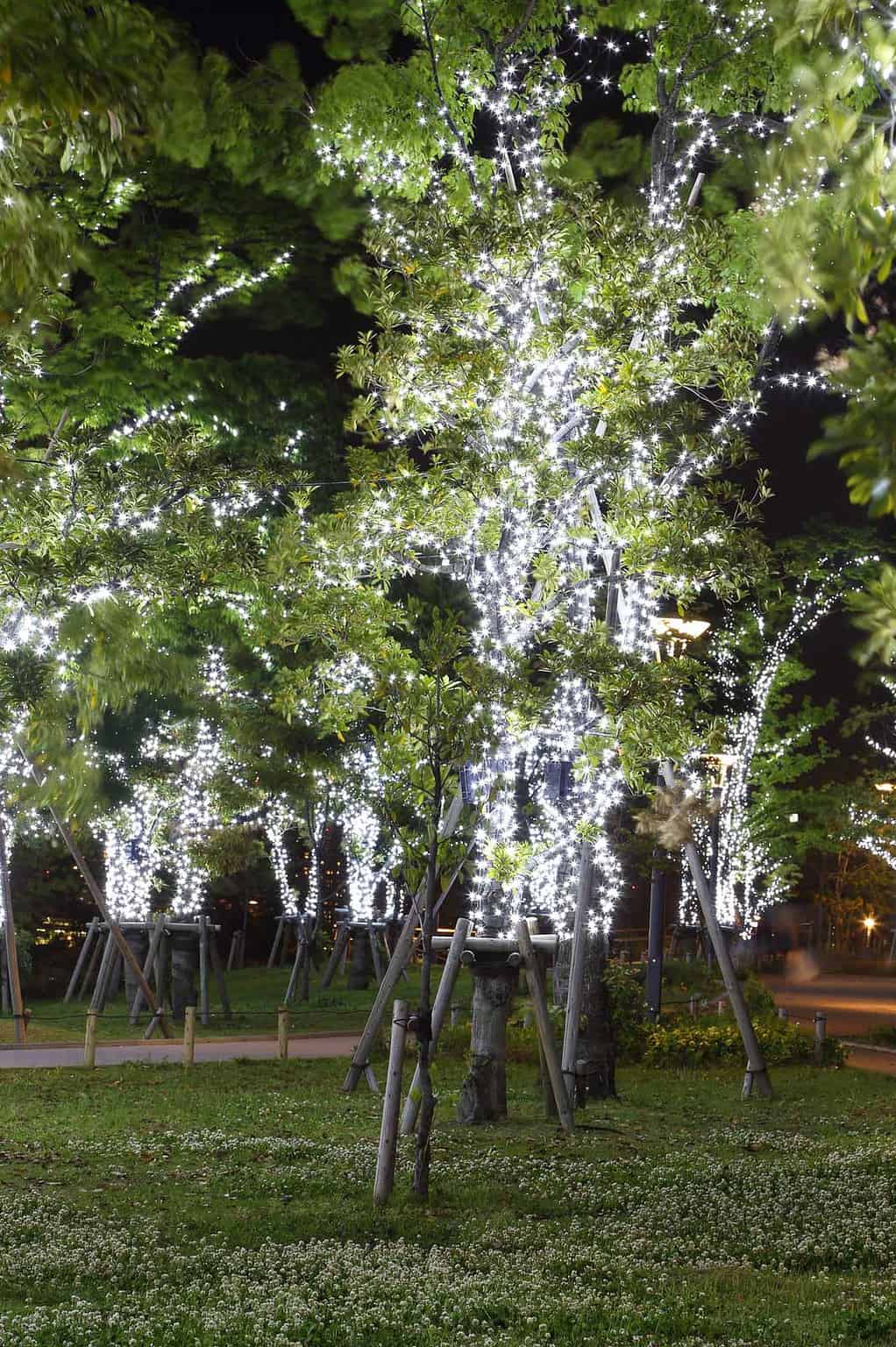 5000k vs. 6000k LED Lights: All You Need To Know